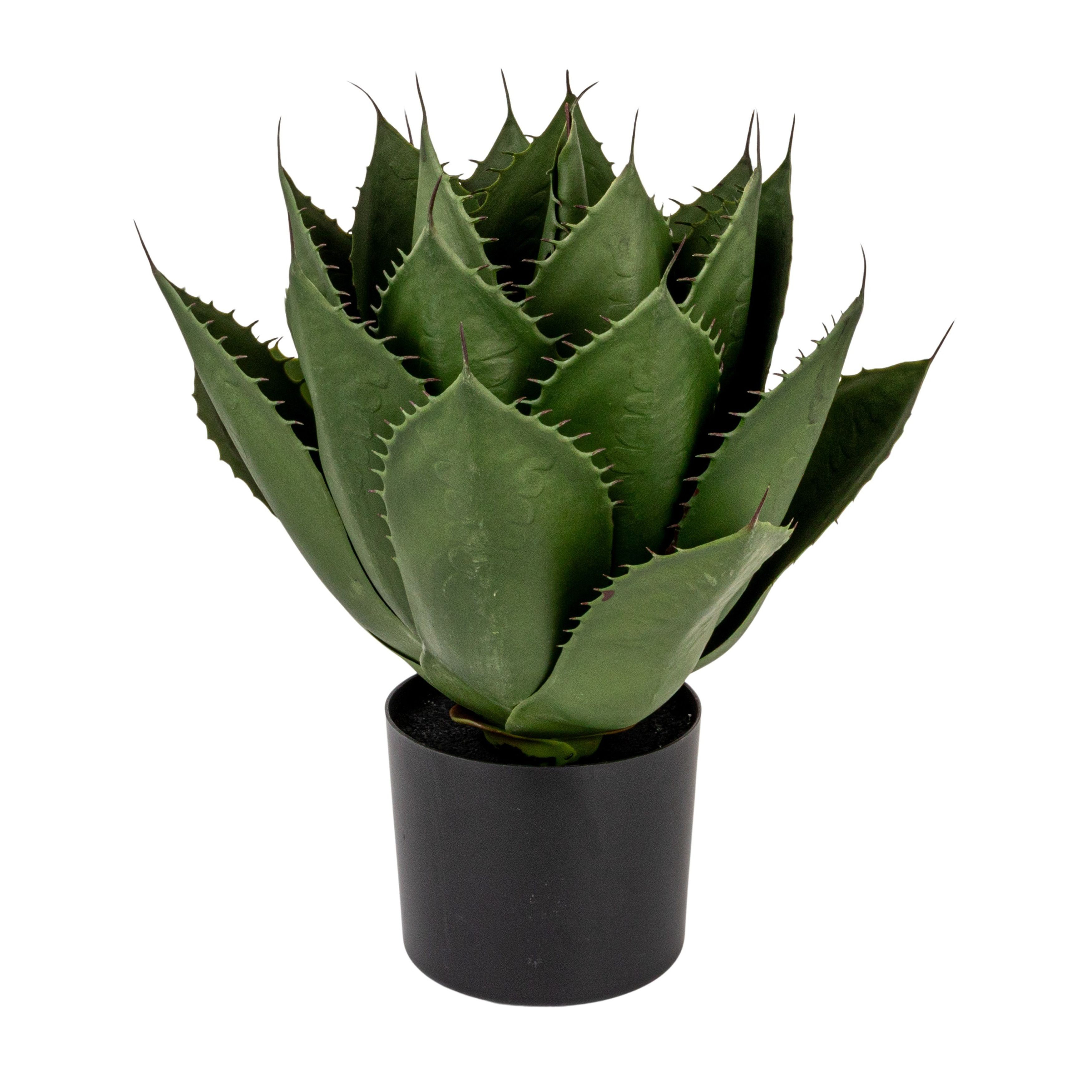 Primrue Faux Agave Plant In Plastic Pot - Wayfair Canada