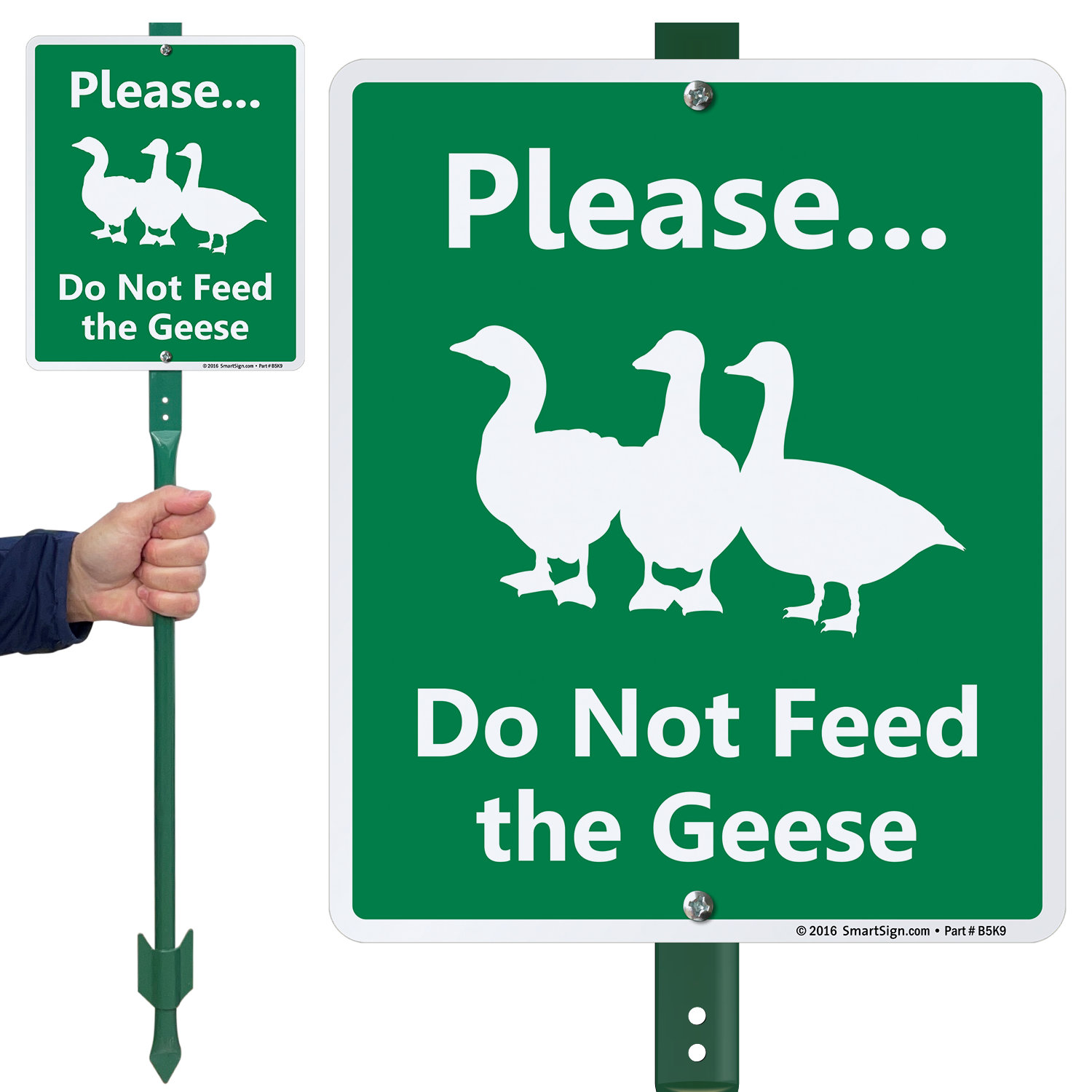 SmartSign Do Not Feed The Geese Sign And Stake Kit - Wayfair Canada