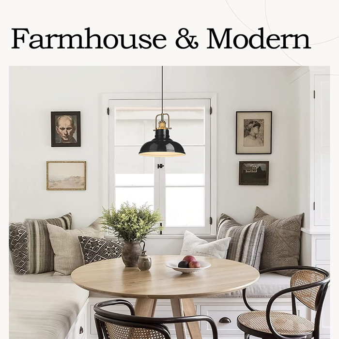 Everly Quinn Tanaja 1 - Light Single Dome Pendant & Reviews | Wayfair