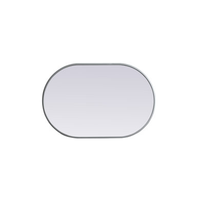 Sabine Metal Pill Wall Mirror & Reviews | Joss & Main