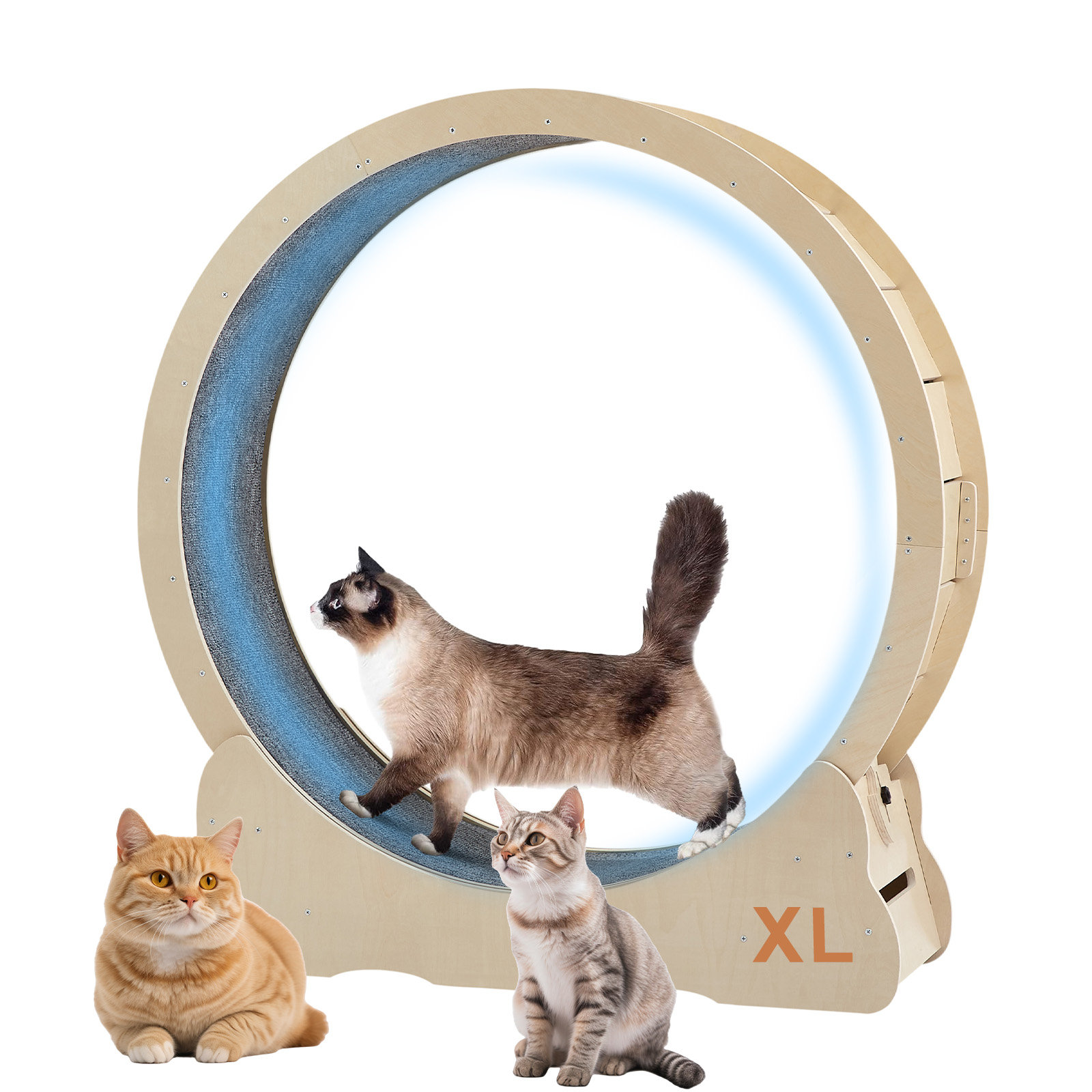 Tucker Murphy Pet™ Roue d'exercice pour chat Eoghann - Wayfair Canada