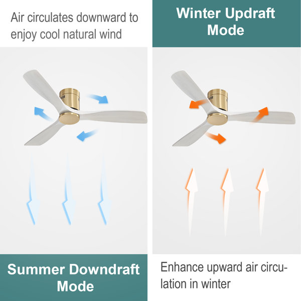 George Oliver Nicola 52'' Ceiling Fan Without Lights & Reviews | Wayfair