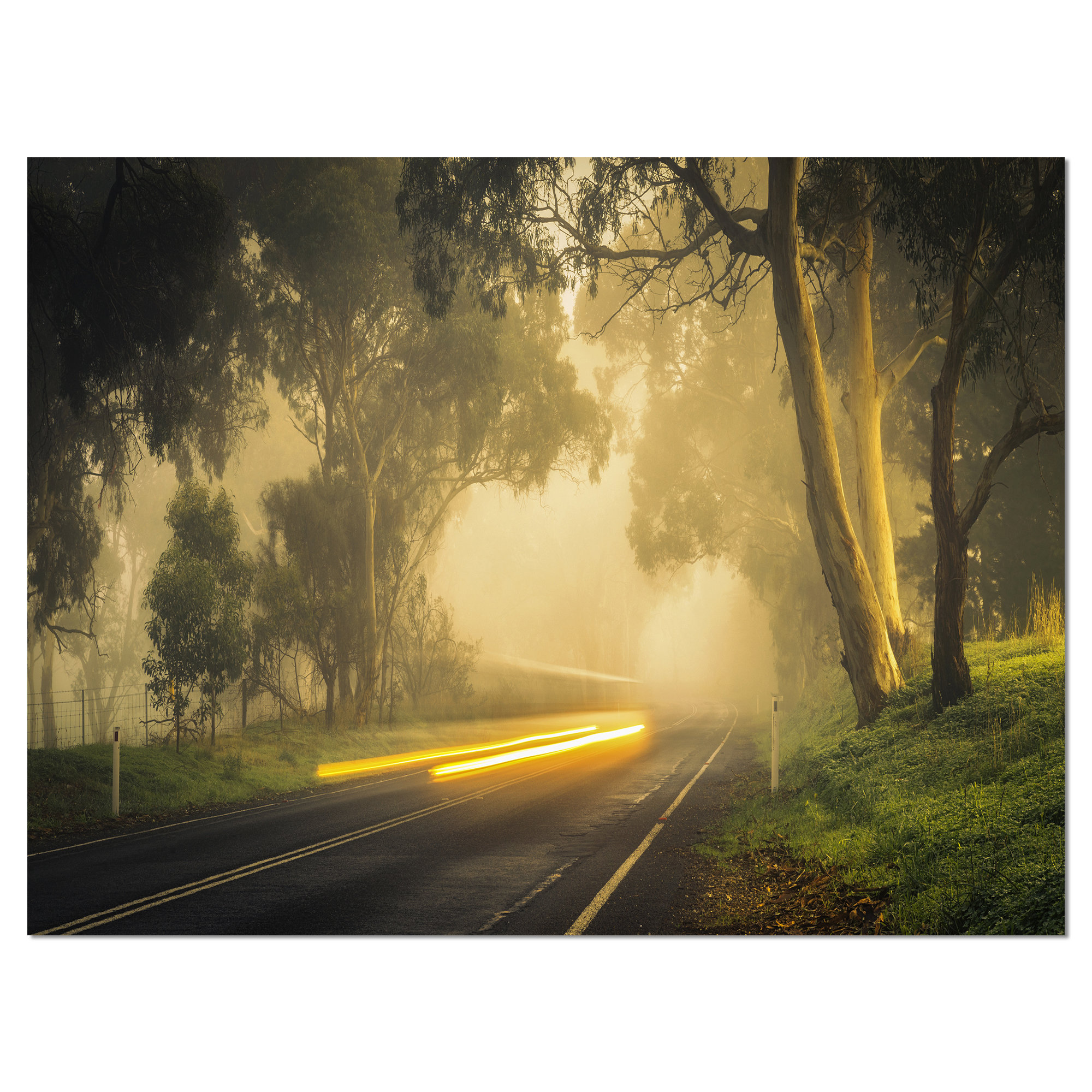 Design Art Country Drive - Wrapped Canvas Photograph Print | Wayfair