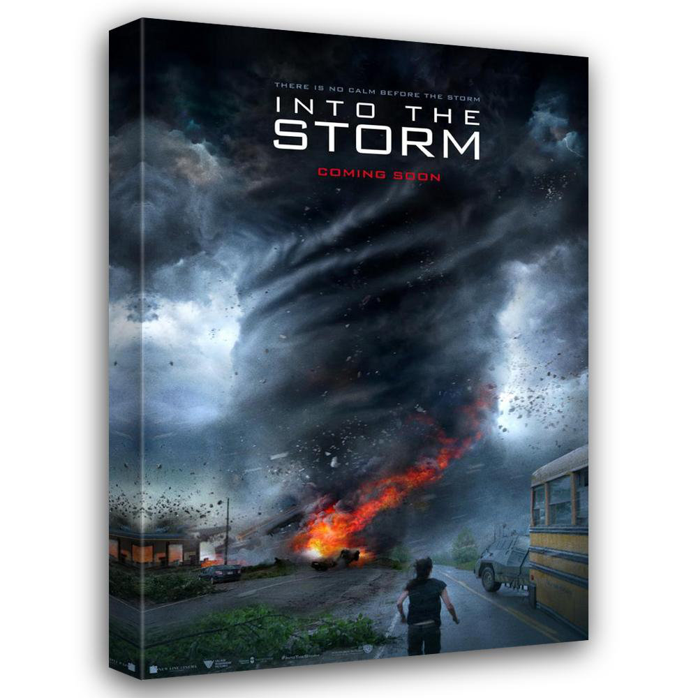 Latitude Run® Into the Storm | Wayfair