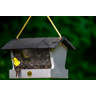 Birds Choice Modern Farmhouse Medium Hopper Hanging Bird Feeder ...