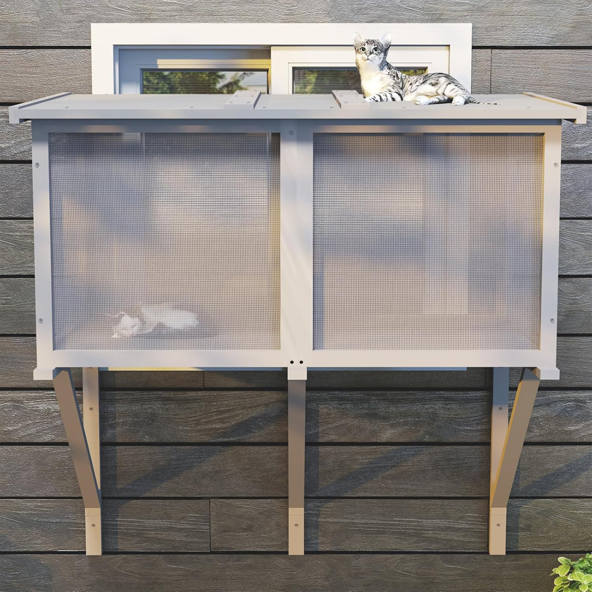 Tucker Murphy Pet™ 46.85" L Cat Window Box,Wooden Cat Window Enclosure ...