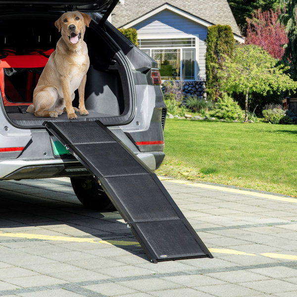 Tucker Murphy Pet™ Folding Pet Ramp, 62 Inch Lightweight Portable Dog ...