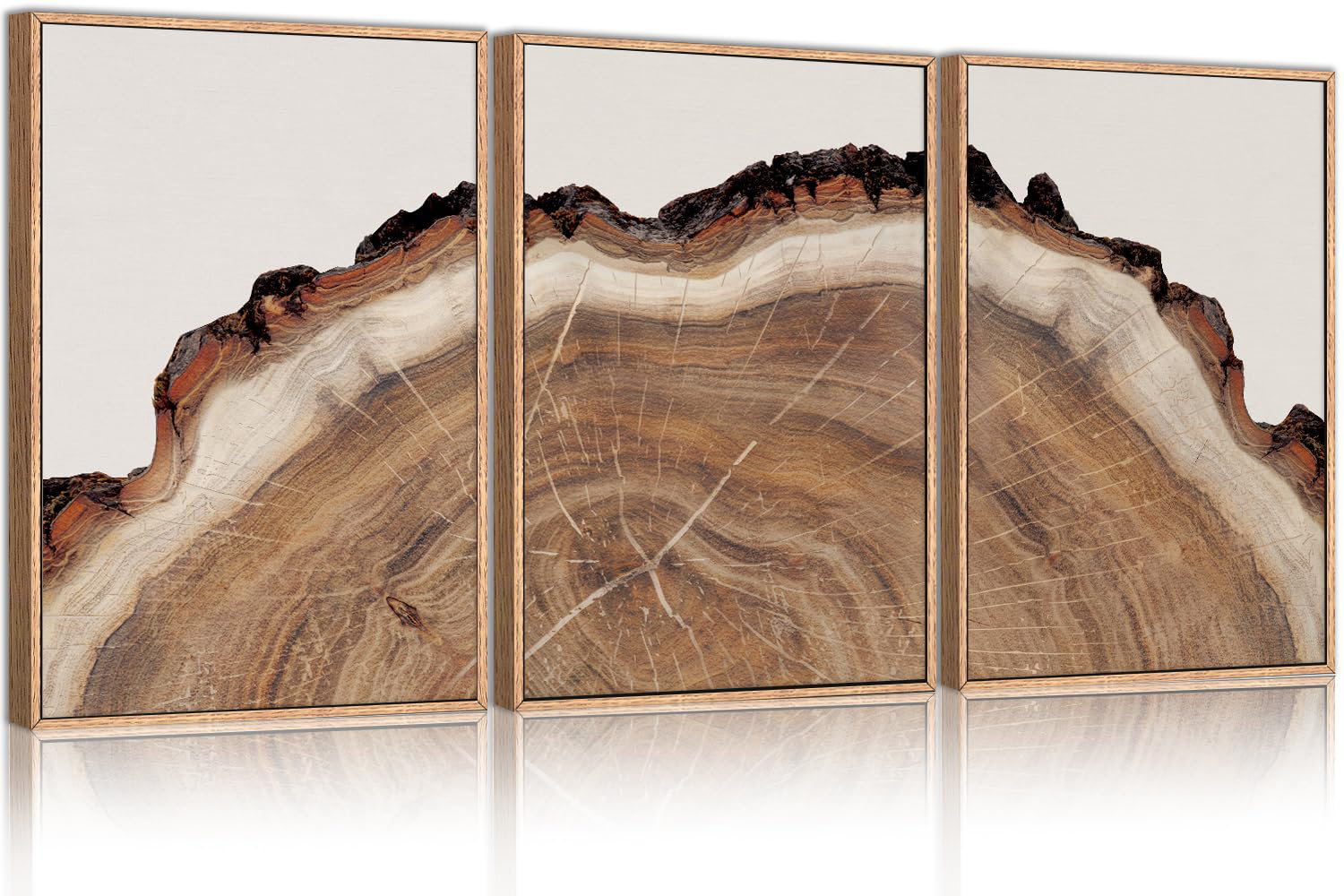 Esotos Vintage Wood Tree Rings Wall Art Set | Wayfair