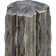 Wet Paint Printing Wood Log Tree Stump Cardboard Standup | Wayfair