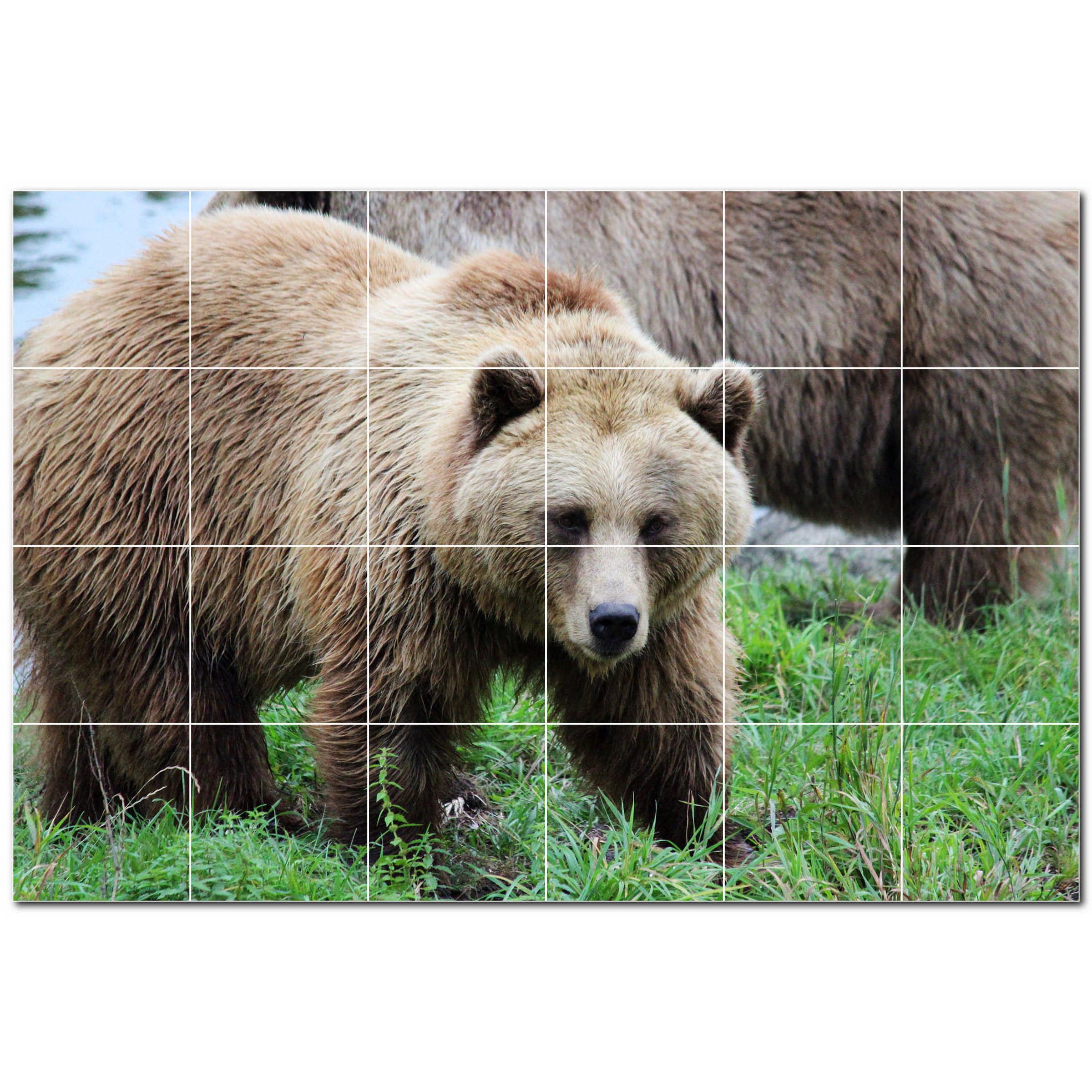 Picture-Tiles.com Bear Photo 12'' x 12'' Satin Ceramic Decorative Mural ...