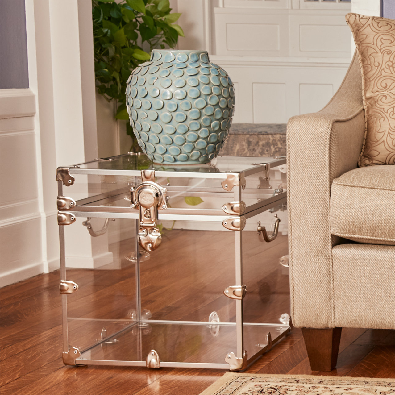 Rhino Trunk and Case Rhino Acrylic Cube Trunk with Antique Brass ...