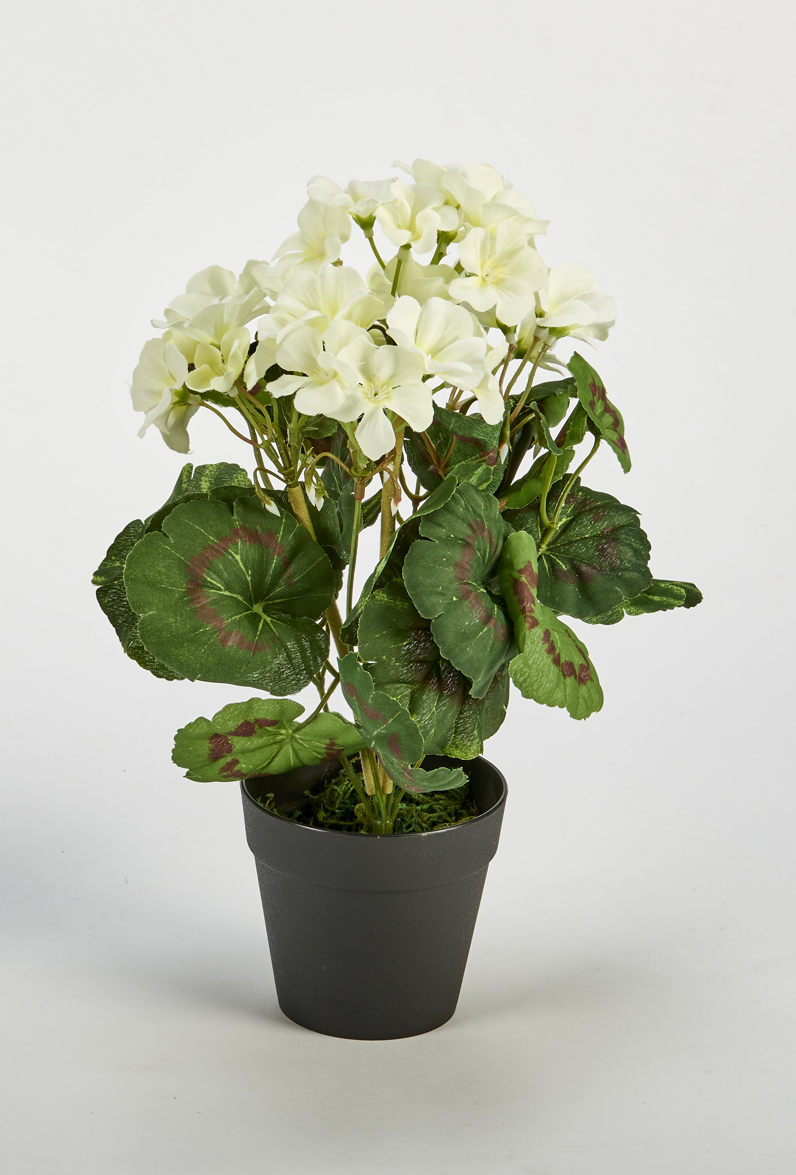 Primrue 12'' Artificial Foliage Plant in Pot - Wayfair Canada
