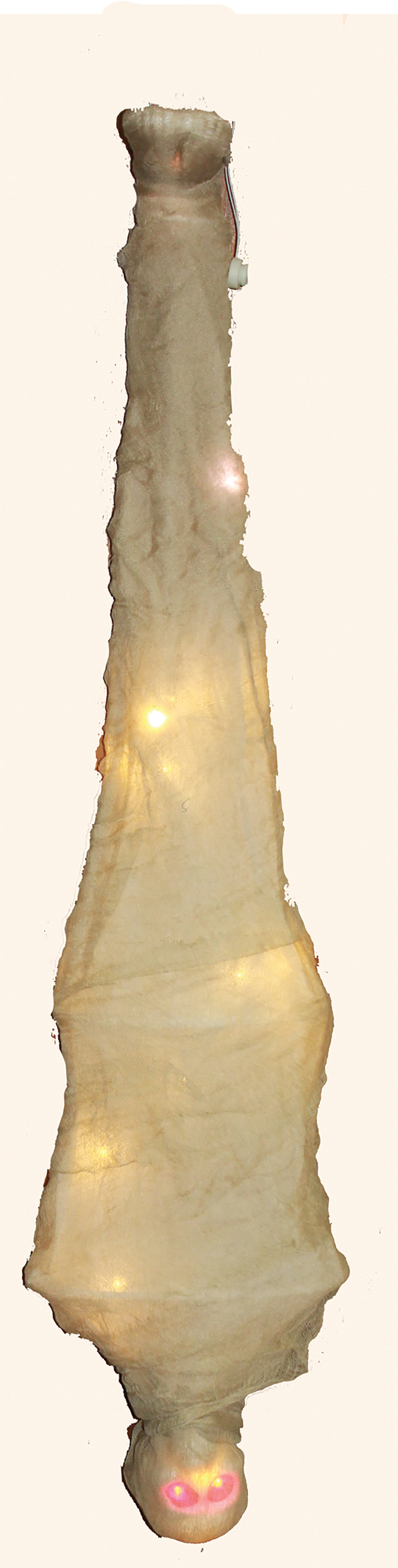 The Holiday Aisle® 42" Hanging Upside Down Light Up Mummy & Reviews ...