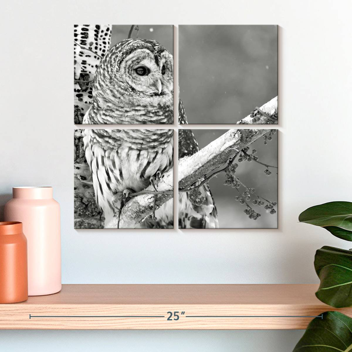 Ebern Designs Brampt White Owl BW | Wayfair