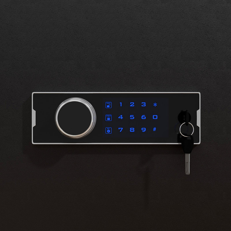 Ebern Designs Unassembled Metal Rifle Gun Security Cabinet Safe Locker ...