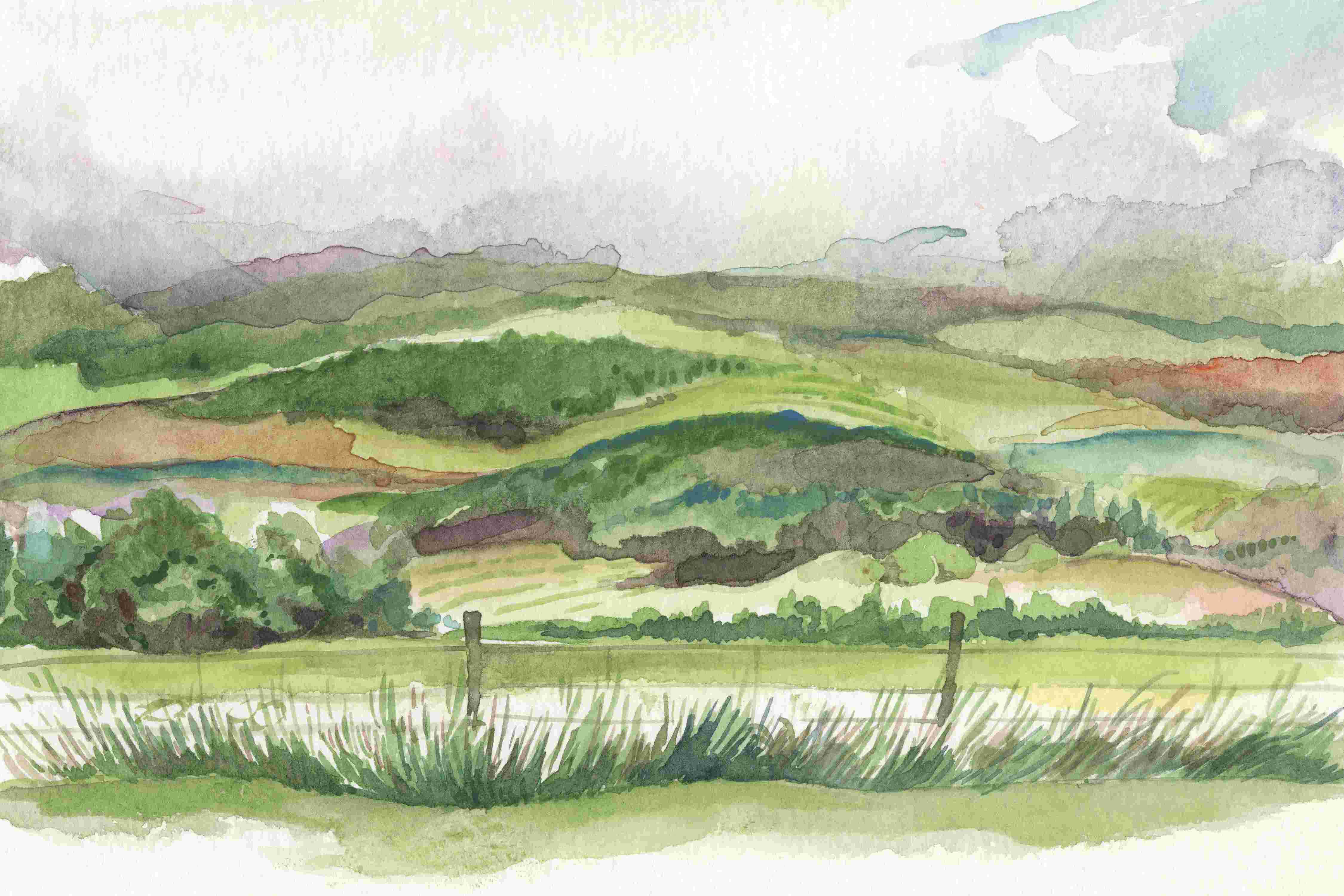 Wildon Home® Bennachie Rain I by Laura Marr - Wrapped Canvas Print ...