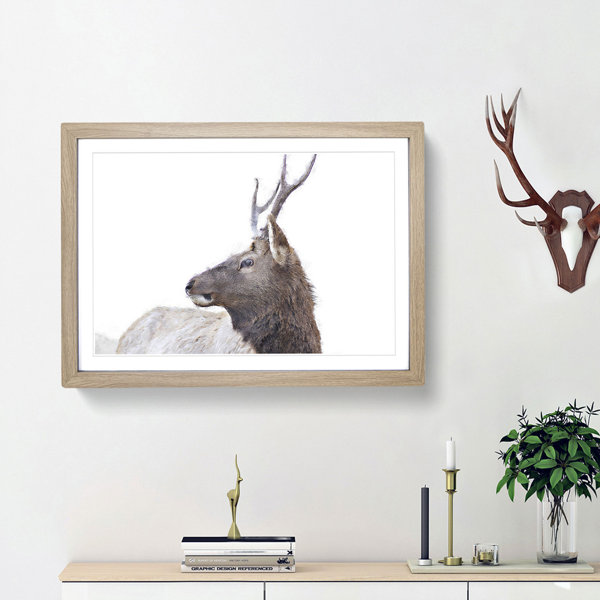 East Urban Home Young Elk - Picture Frame Painting Print | Wayfair.co.uk