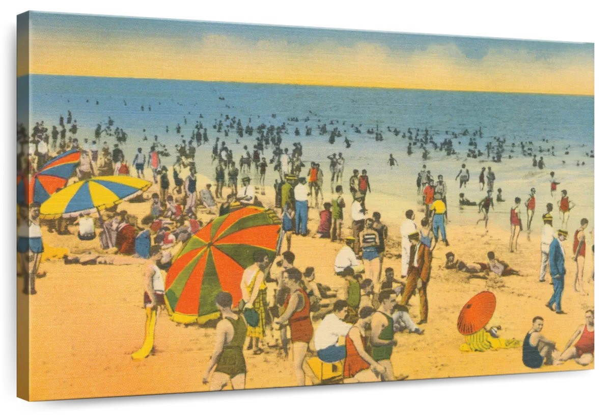Elephant Stock Beach Postcard VIII | Wayfair