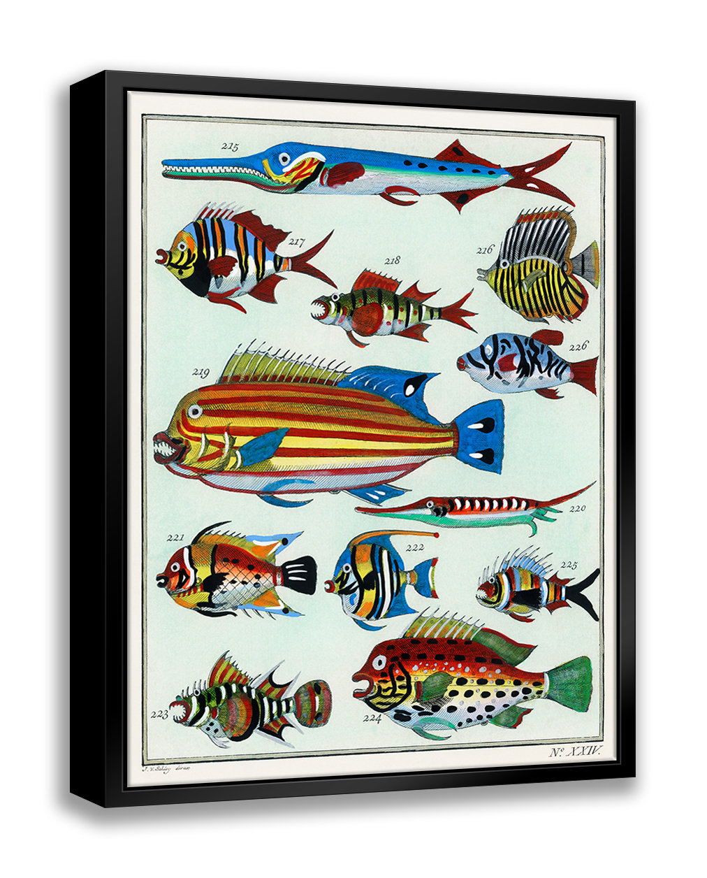 ATX Art Group LLC Rare Exotic Fish - Floater Frame Painting on Canvas ...