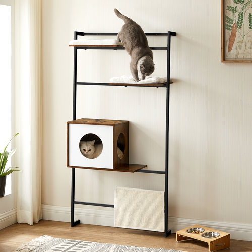 Wall Mounted Cat Trees You'll Love - Wayfair Canada