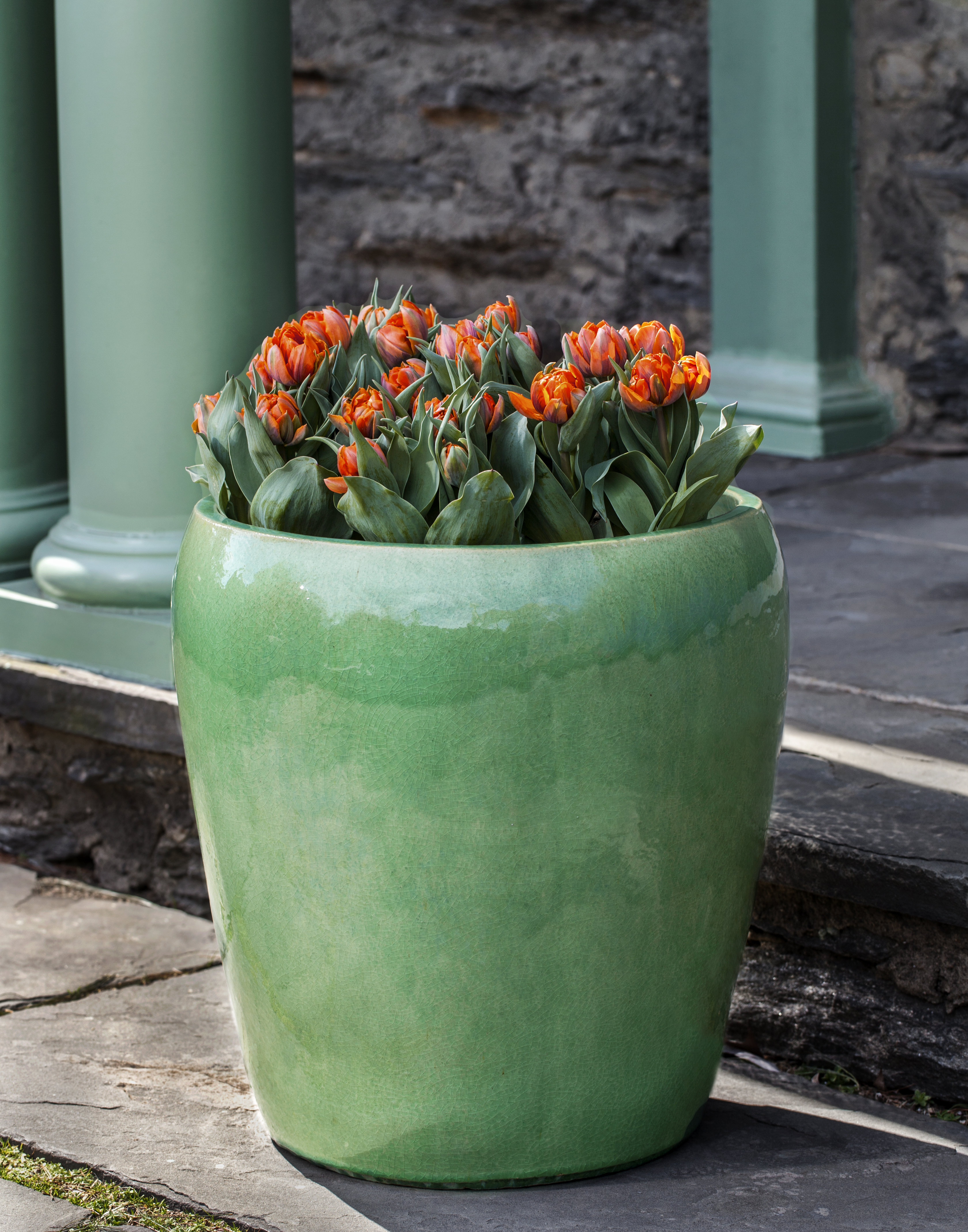 Dakota Fields Denison 3-Piece Terracotta Pot Planter Set - Wayfair Canada