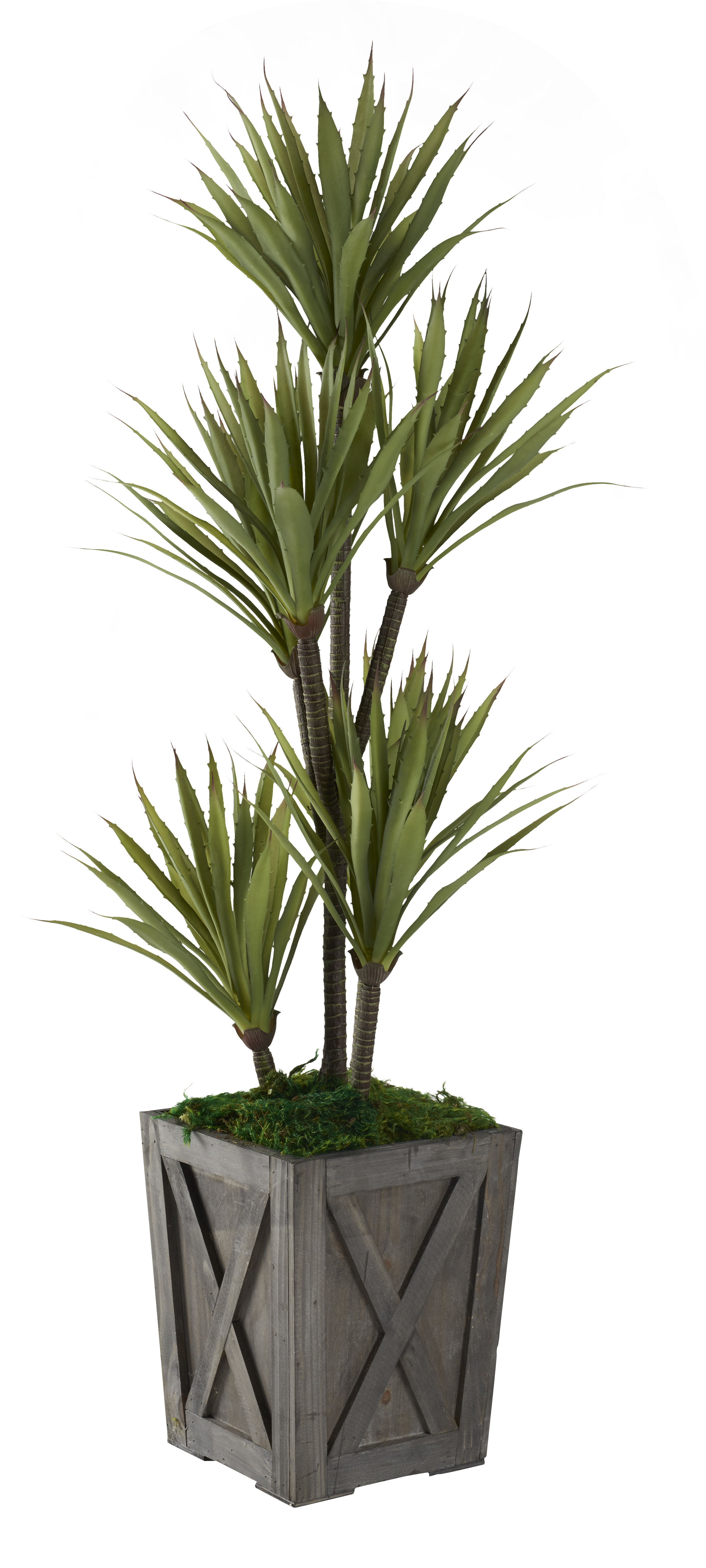 Primrue 48" Yucca Tree In Weathered Wooden Box Planter | Wayfair