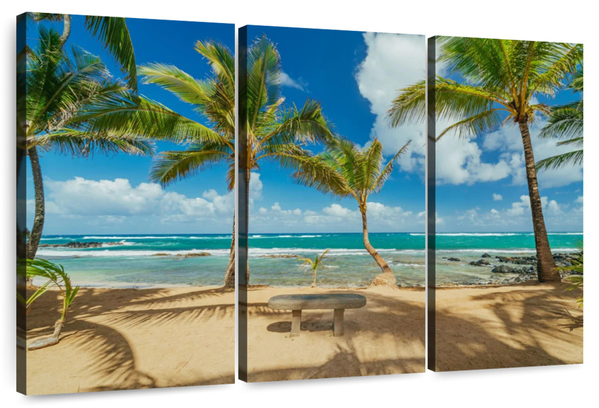 Elephant Stock Kuau Cove Beach | Wayfair