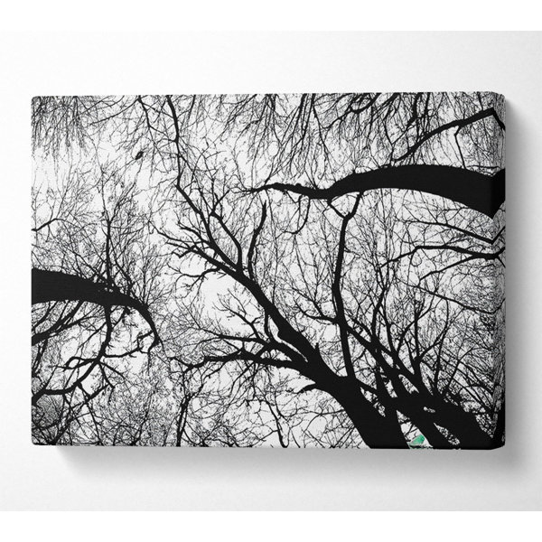 Alpen Home Pecan Grove Black And White - Wrapped Canvas Art Prints ...