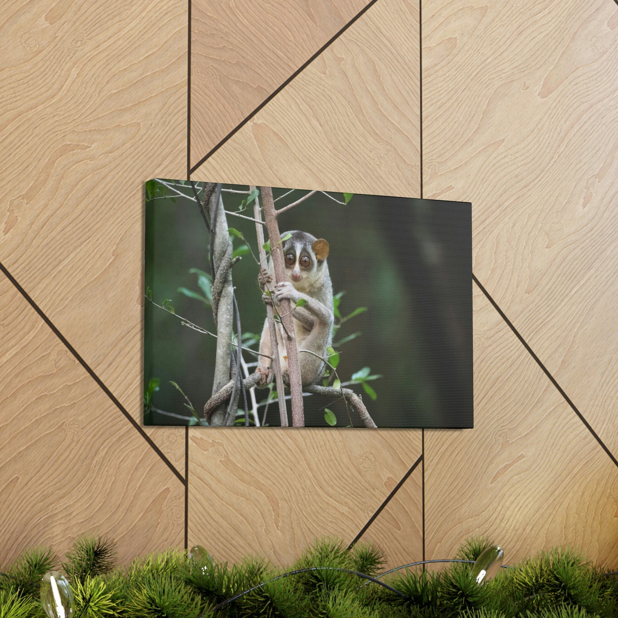 Latitude Run® Majestic Slender Loris Art Majestic Slender Loris Print ...