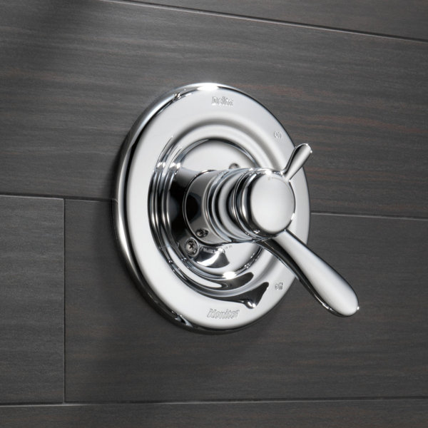 Delta Lahara 17 Series Dual-Function Valve Trim Kit, Shower Shower ...