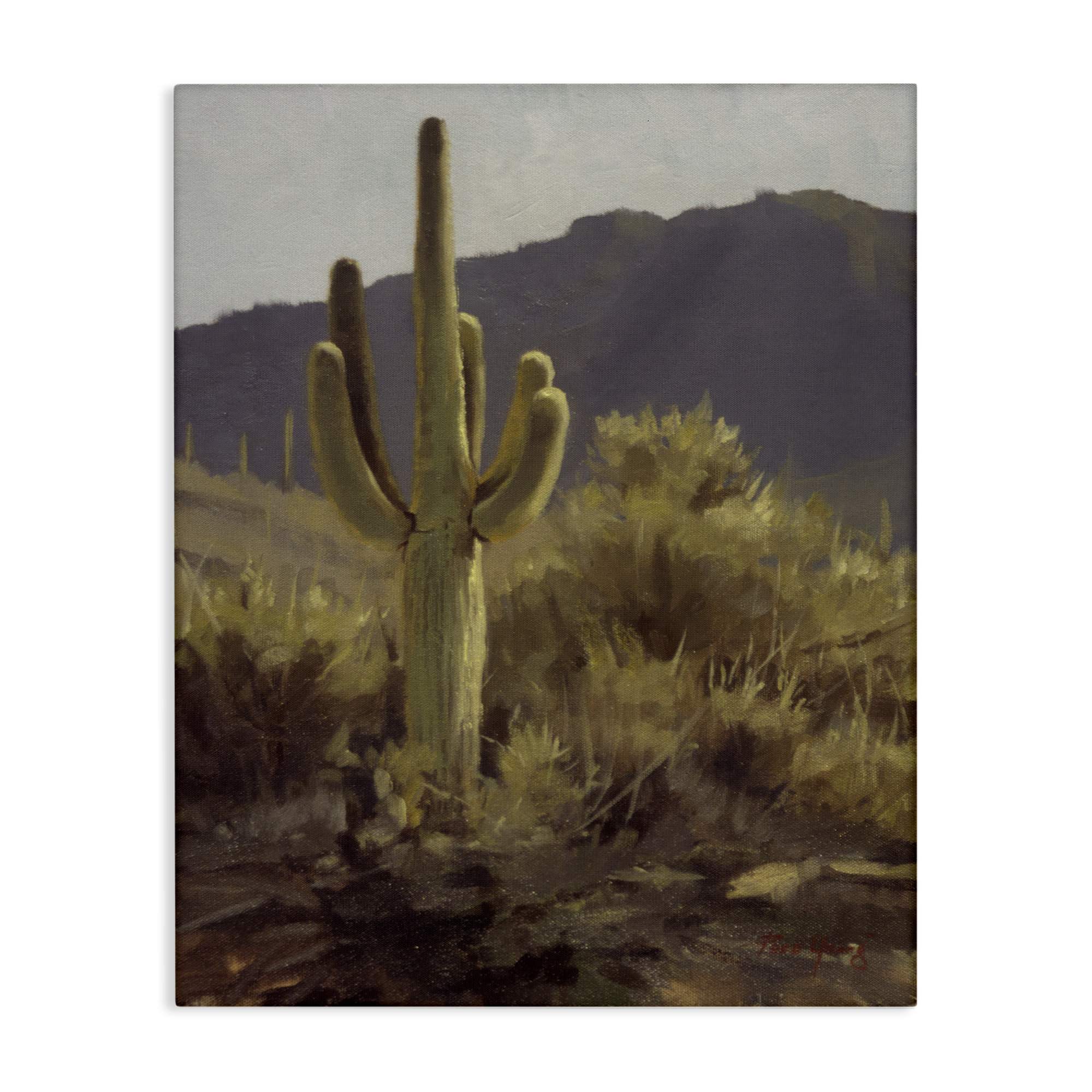 Union Rustic Bold Cactus Mountain Overlook Canvas, design by Paco Young ...