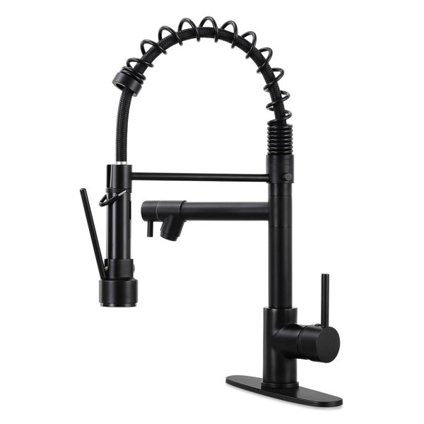 HGN 2 Spouts Kitchen Faucetwith Pull Out& Reviews | Wayfair