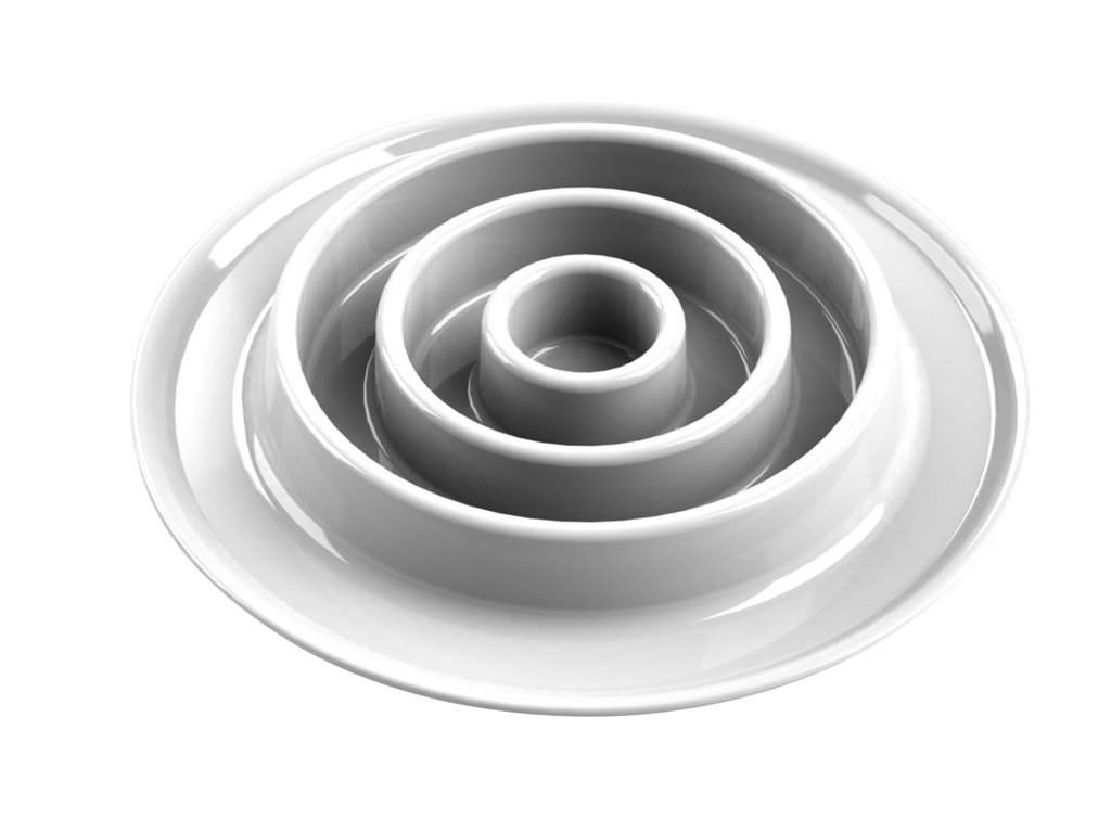 Archie & Oscar™ Hohman Concentric Circle Medium Slow Feeder | Wayfair