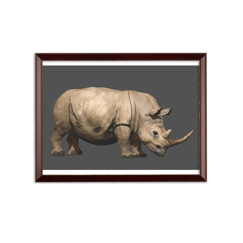 Bungalow Rose Rhino Character Sublimation Wall Plaque - Wayfair Canada
