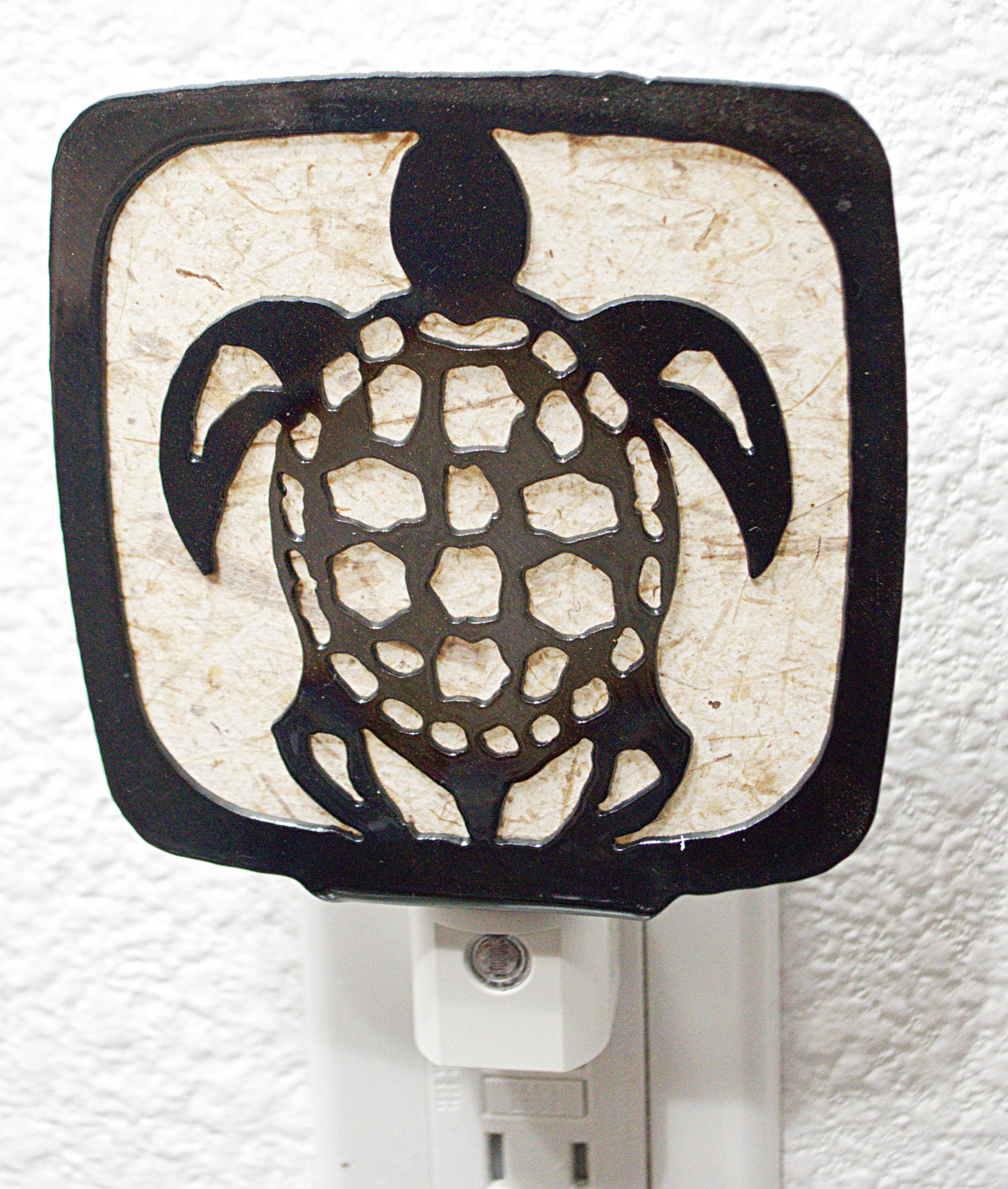 Bay Isle Home™ SHELL BACK SEA TURTLE NIGHT LIGHT | Wayfair