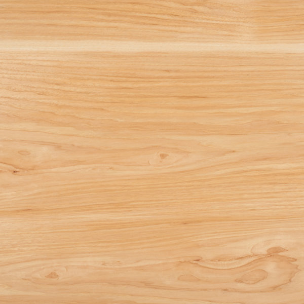 Safavieh Couture Couture Genevieve Writing Desk & Reviews | Perigold