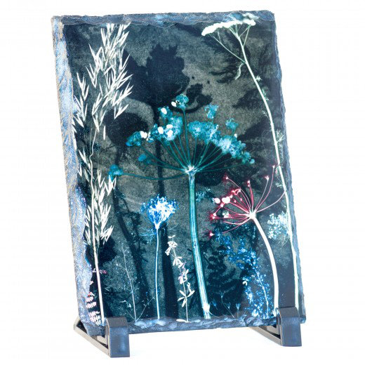 Beegle Decorative Slates | Wayfair.co.uk