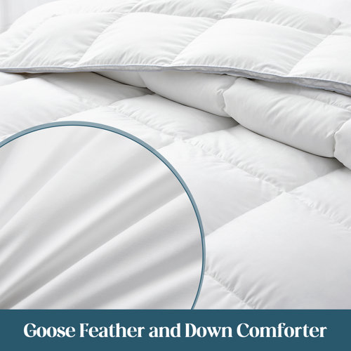 Alwyn Home 600in³/oz Fill Power All Season Goose Down Comforter ...