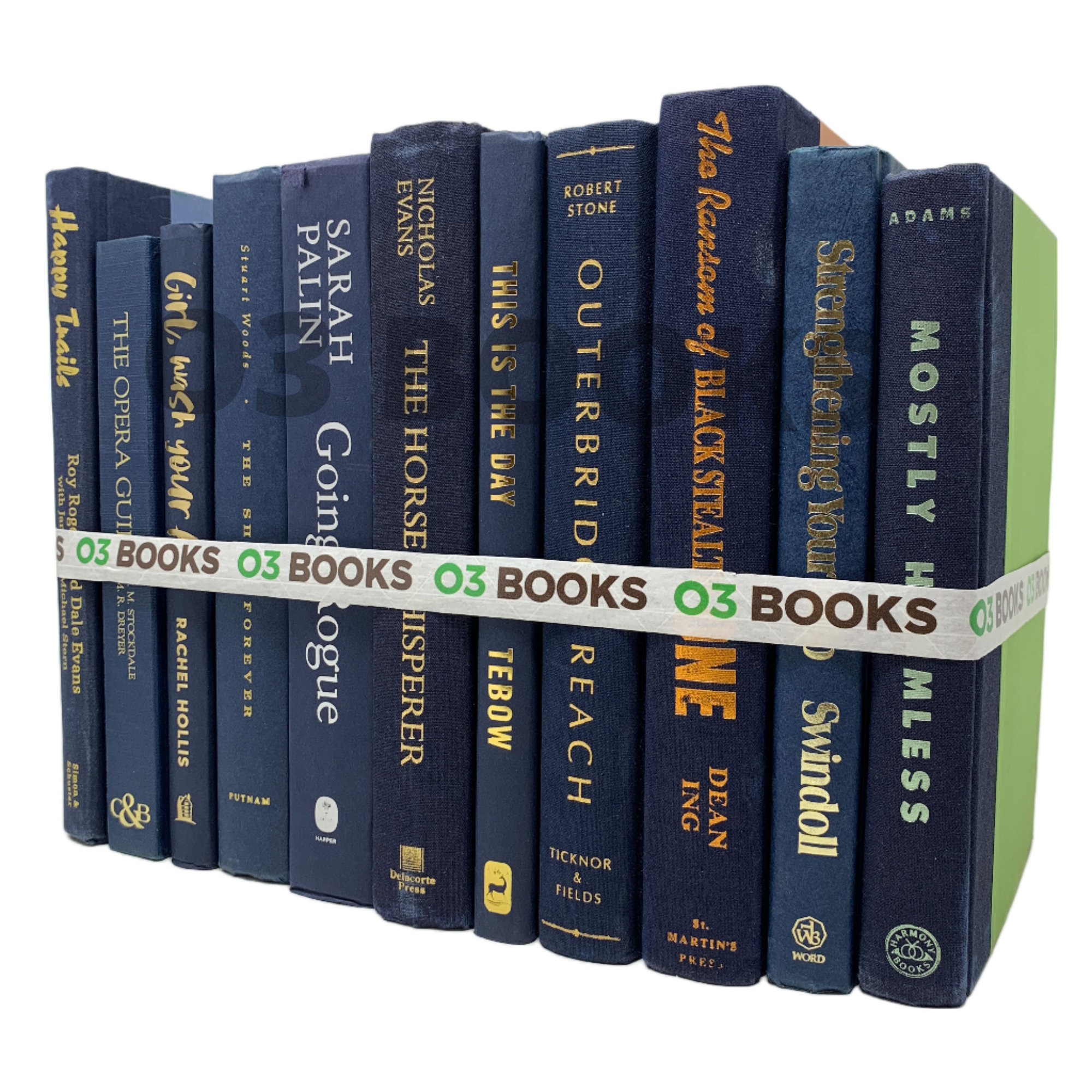 O3 Books Navy Blue Decorative Books & Reviews | Wayfair