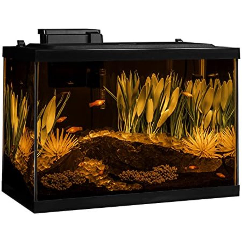 Latitude Run® Colorfusion Aquarium 20 Gallon Fish Tank Kit, Includes ...