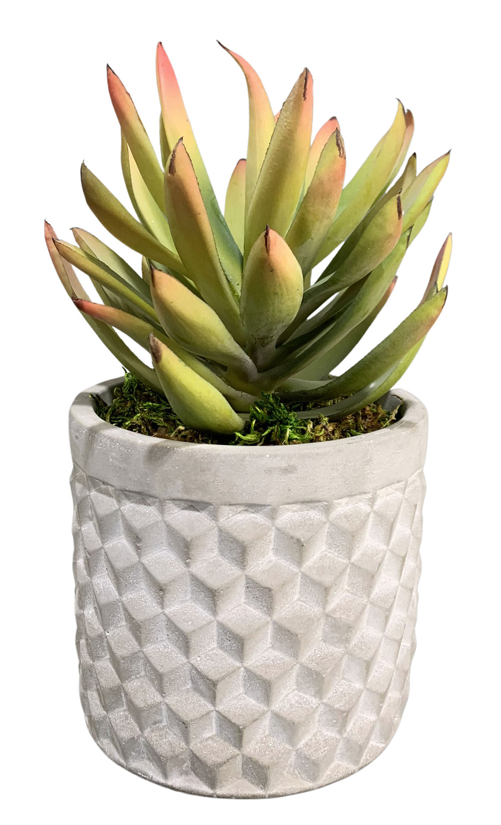 Primrue 10" Artificial Yucca Succulent in Decorative Vase | Wayfair