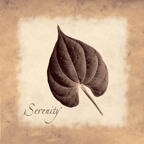 ClassicLiving Traditional Sepia Leaf 6 - Wrapped Canvas Print | Wayfair ...