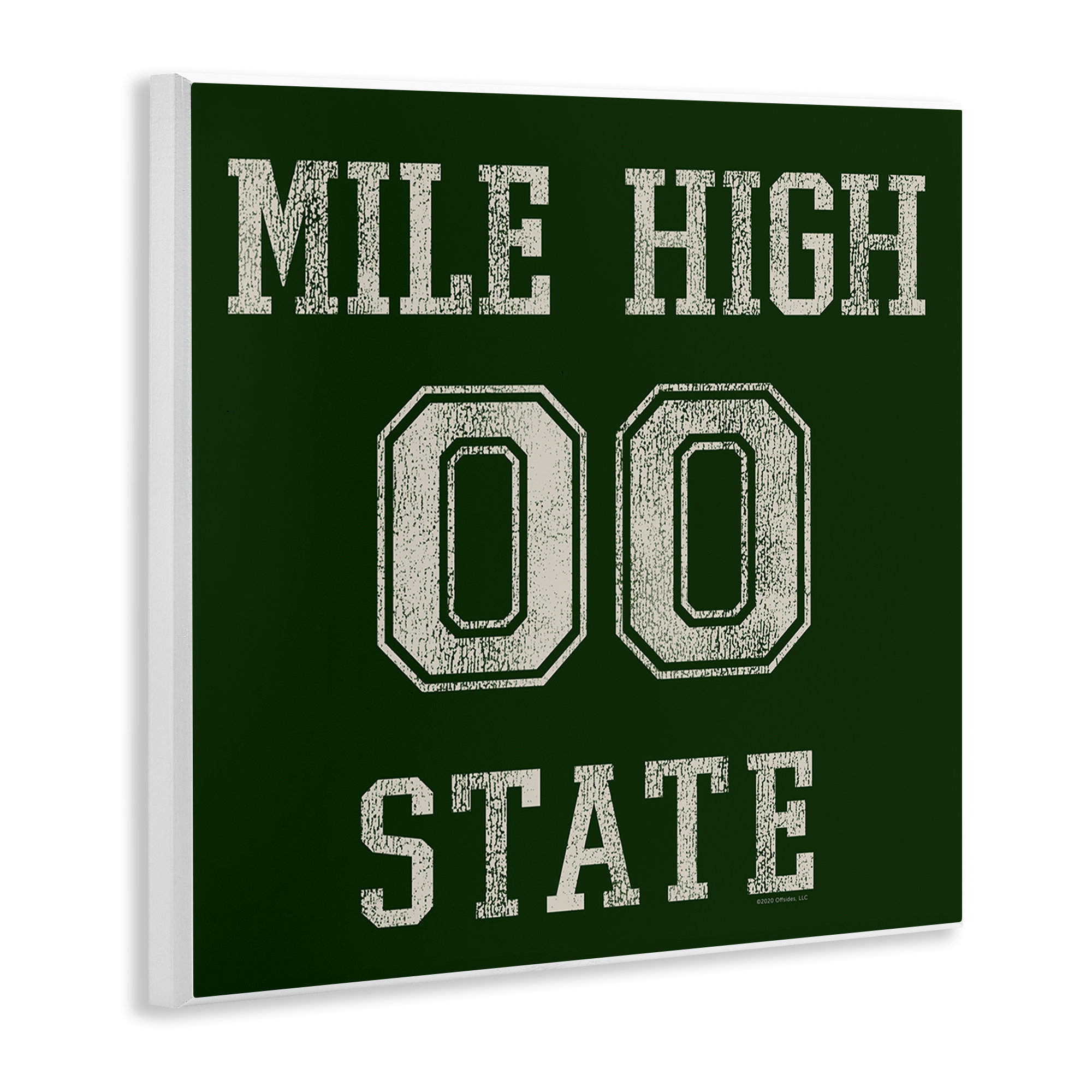 Ophelia & Co. Vintage Mile High State Wall Plaque Art by Higher ...