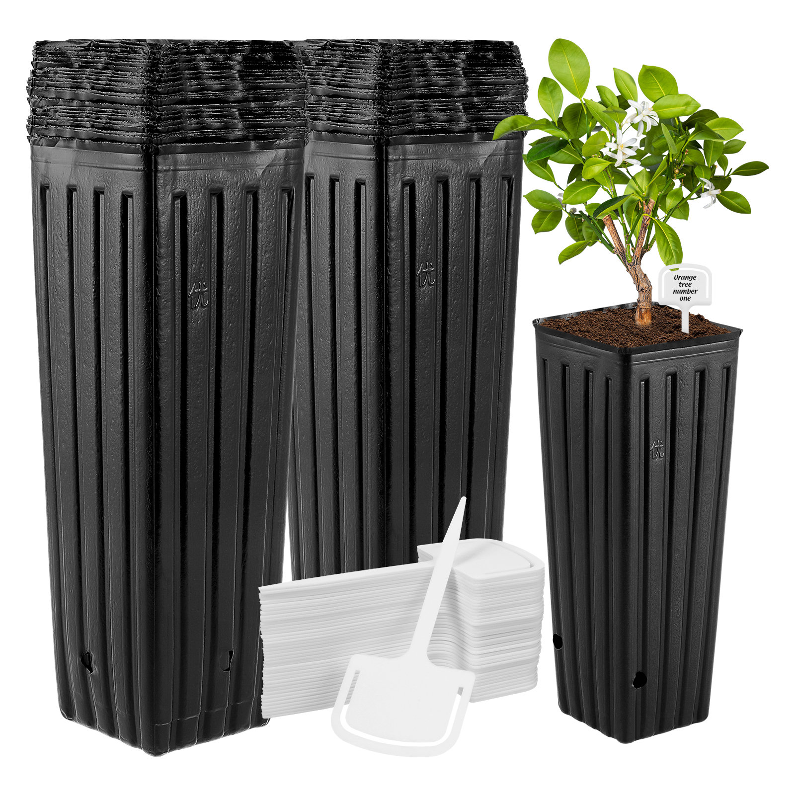 Arlmont & Co. 60 Pcs Tree Pots Plant Pots Plastic Containers Nursery ...