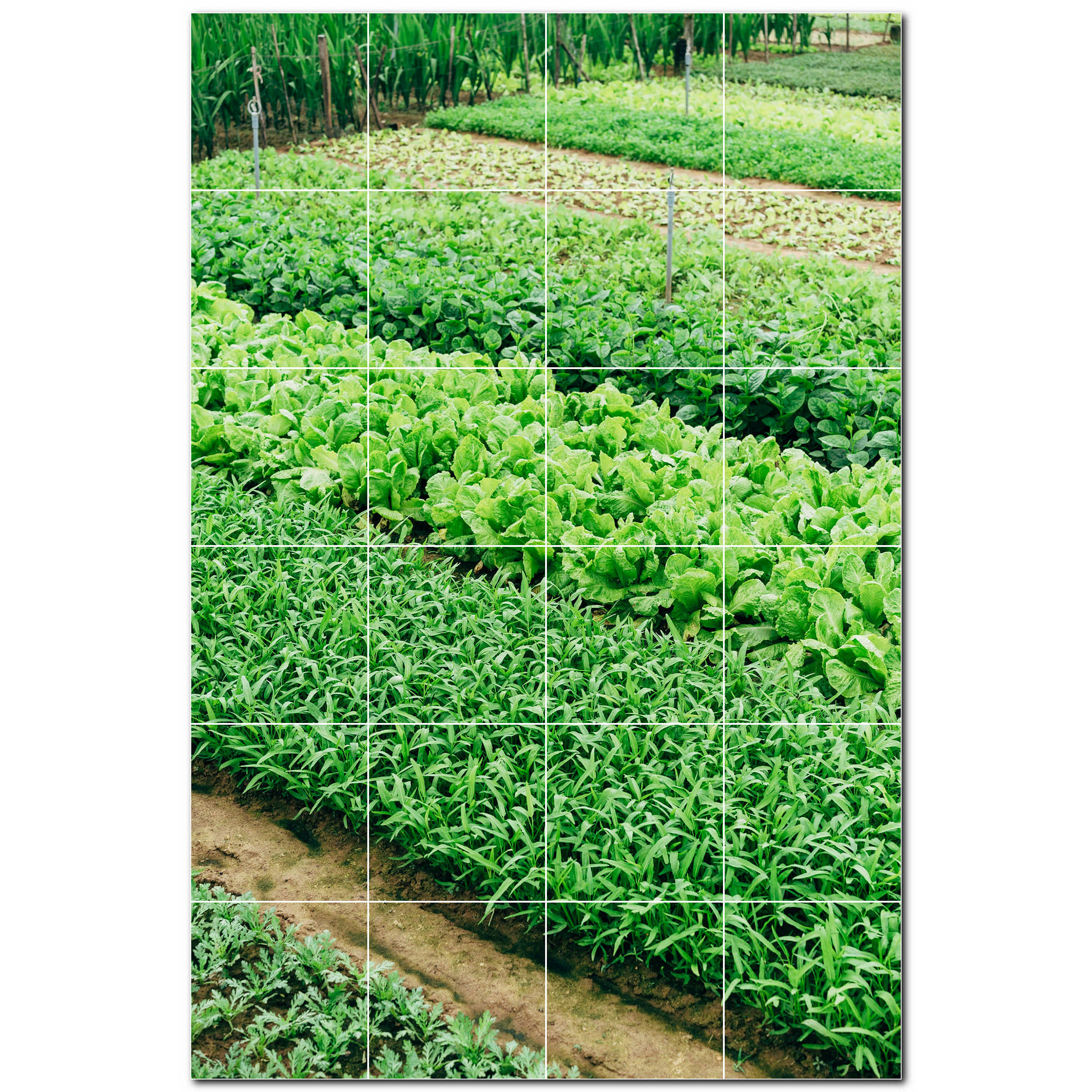 Picture-Tiles.com 32" x 48" Ceramic Farm Photo Decorative Mural Tile ...