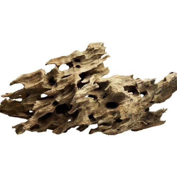 Millwood Pines Fish Tank Natural Driftwood Porous Wood Ornament ...