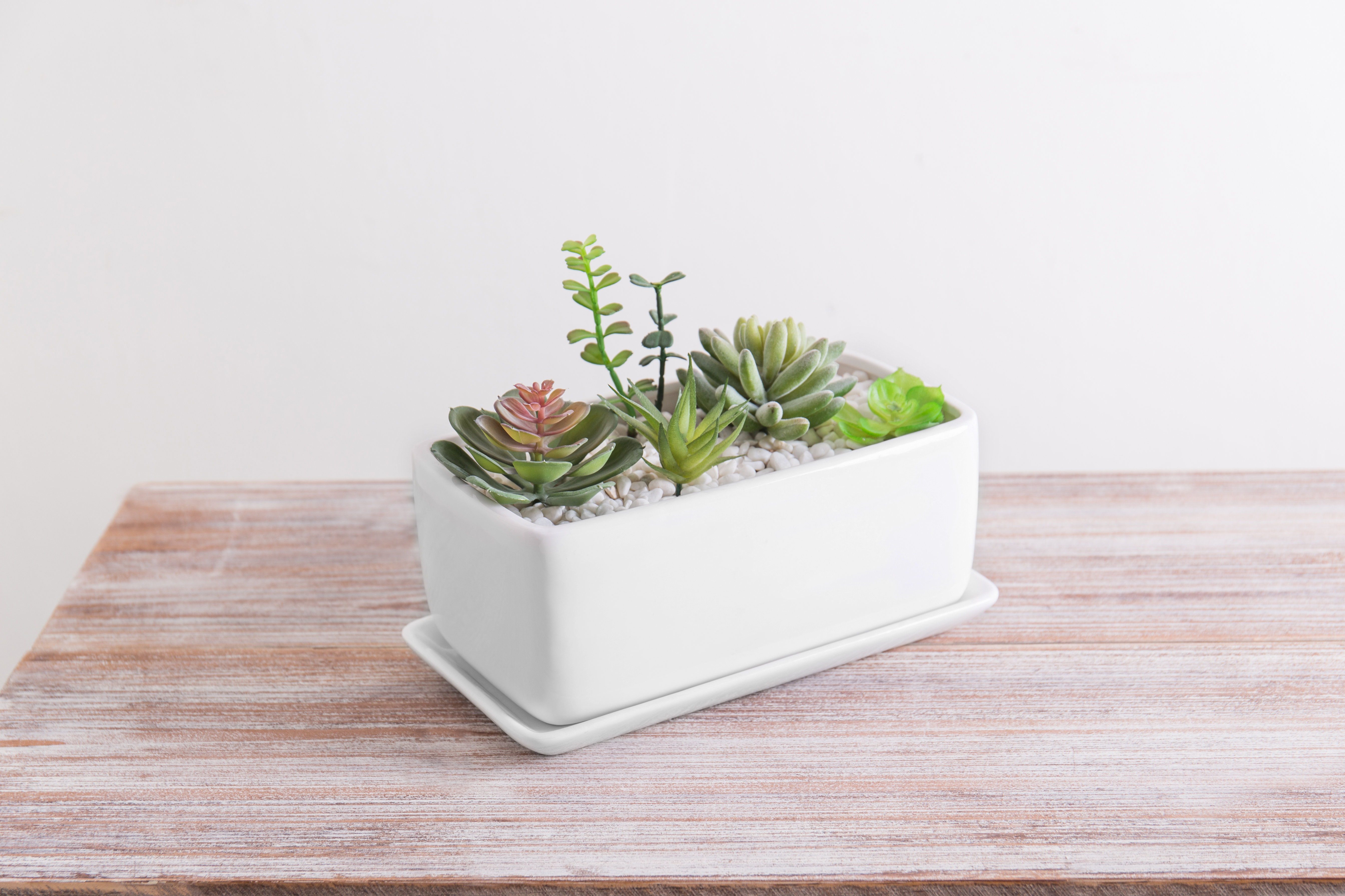 Ebern Designs Anielle Rectangular Ceramic Pot Planter & Reviews | Wayfair