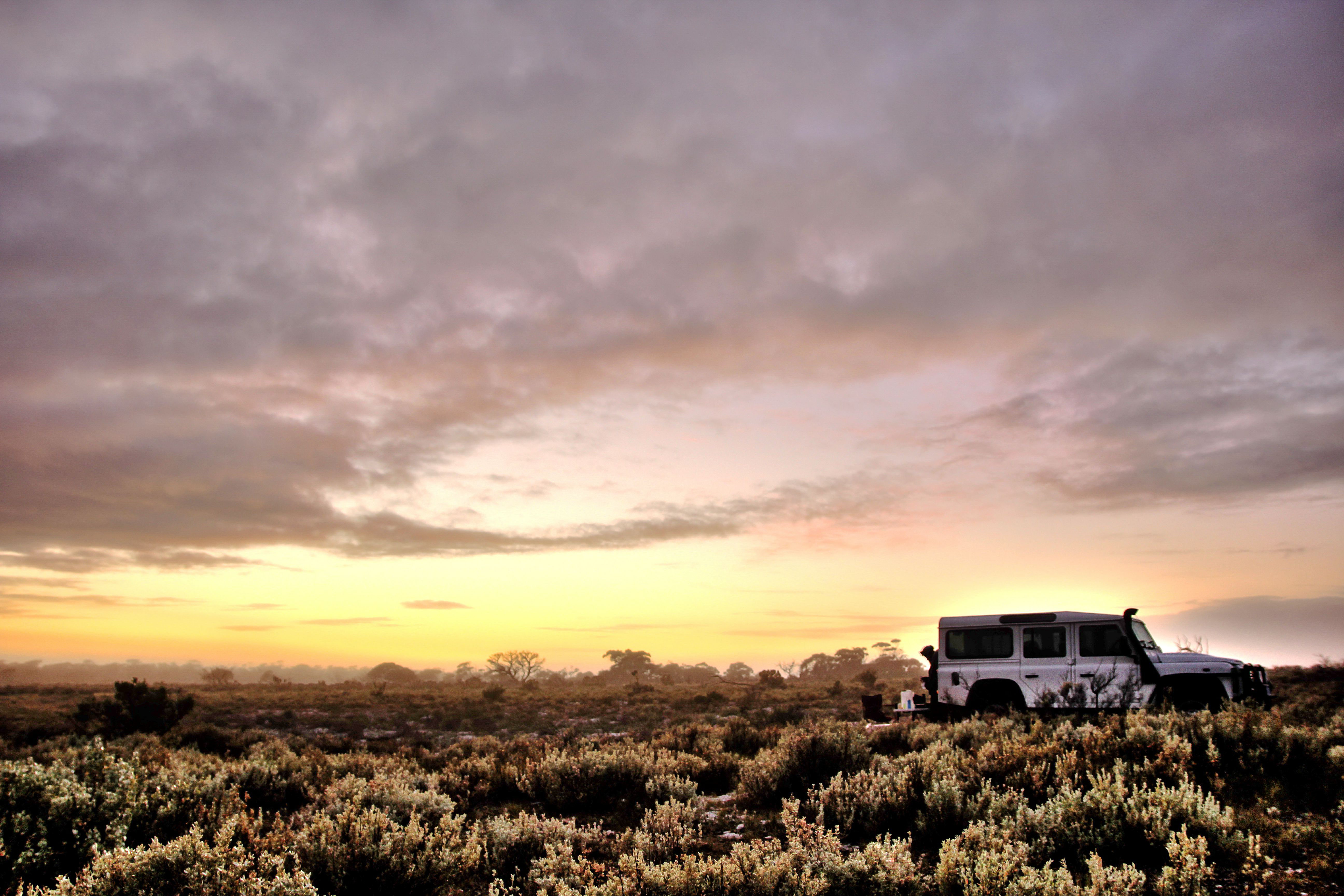 Ebern Designs Naseim The Nullarbor Plain - Wrapped Canvas Photograph ...