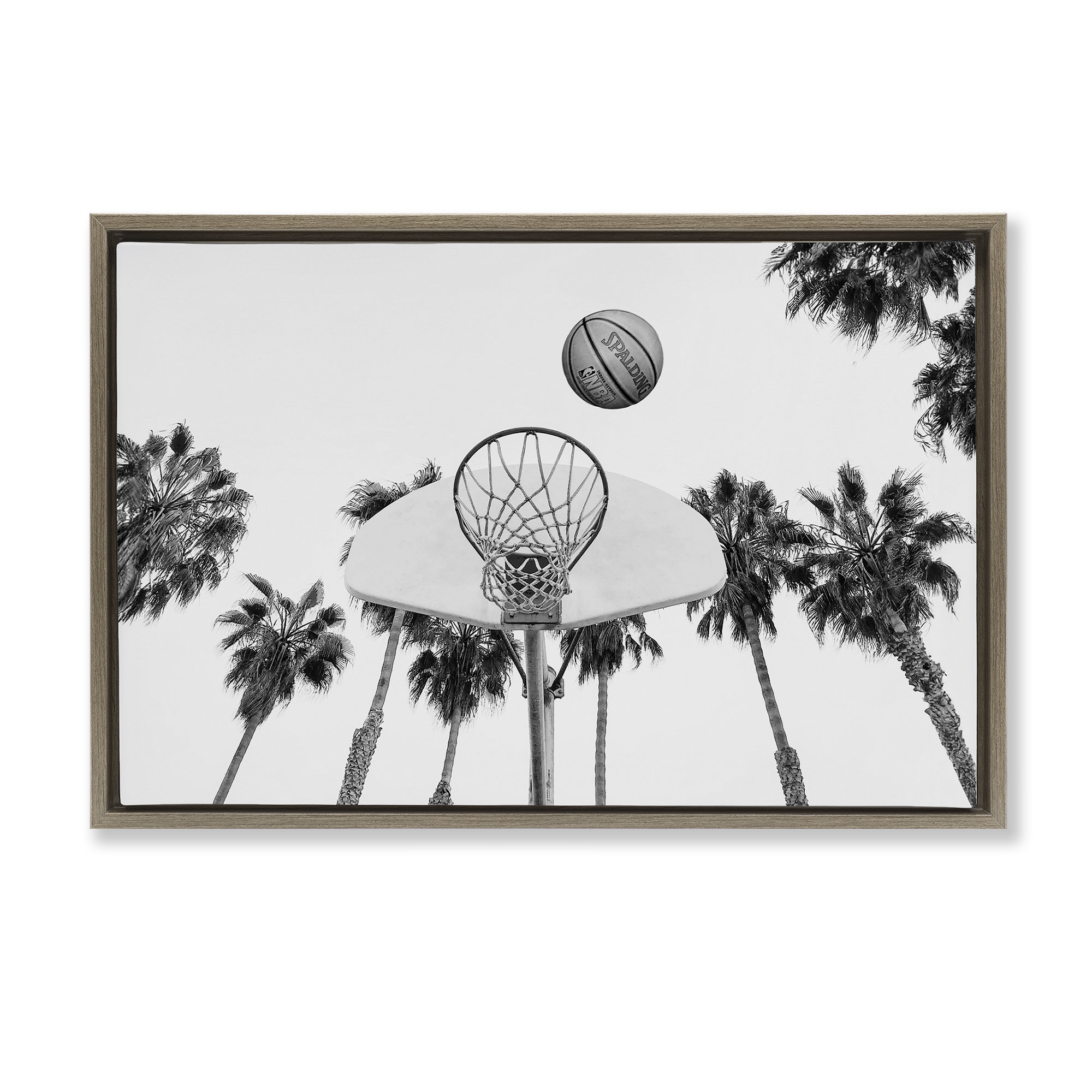 Bay Isle Home™ Basketball Hoop with Palms Gray Framed Floater Canvas by ...