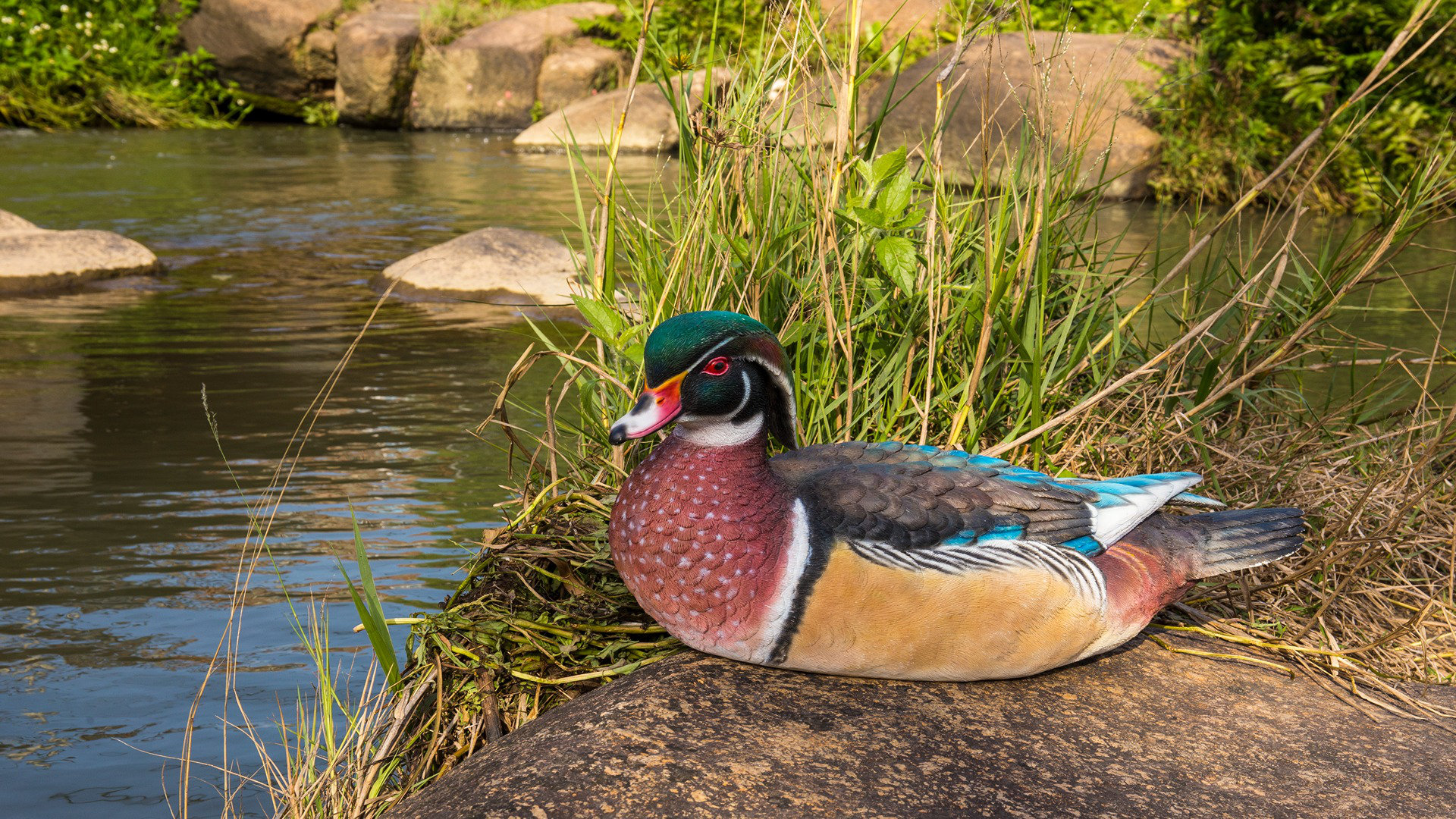 Hi-Line Gift Ltd. Colorful Sitting Wood Duck Garden Statue & Reviews ...